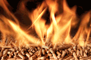 Chi siamo | Novatec Group